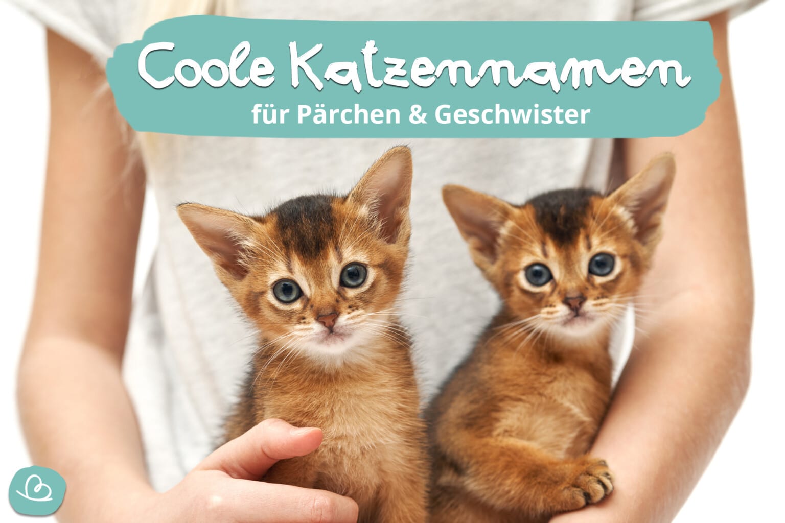 Spannende Coole Namen Fur Kater Grau Ebenbild