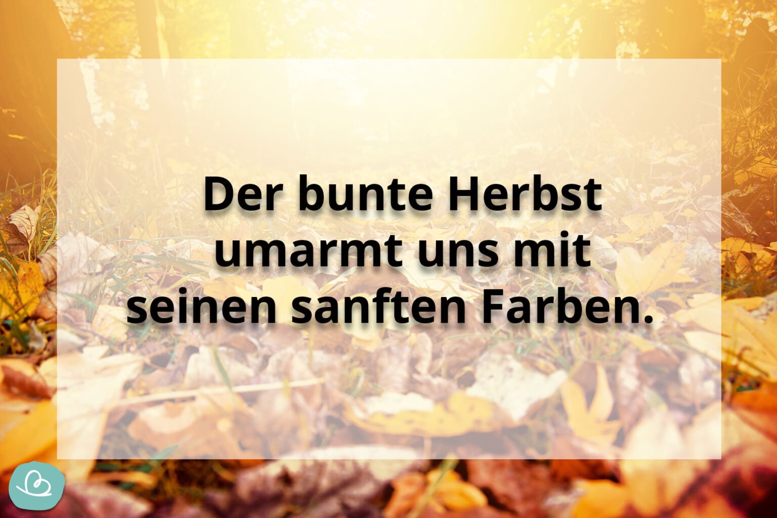 Schöne Herbst Sprüche | 50 kurze Sprüche zum Herbst - Wunderbunt.de