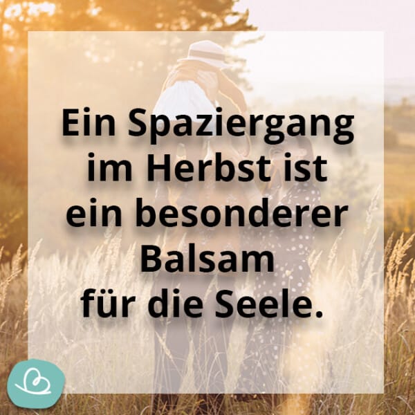 Schöne Herbst Sprüche | 50 kurze Sprüche zum Herbst - Wunderbunt.de
